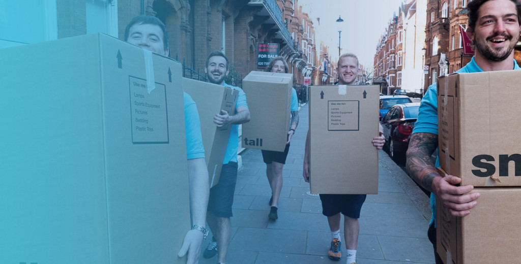 Removals Driver/Porter - Spring Box